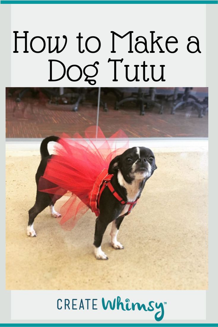 How to Make a Dog Tutu | Create Whimsy | Dress Your Furry Friend