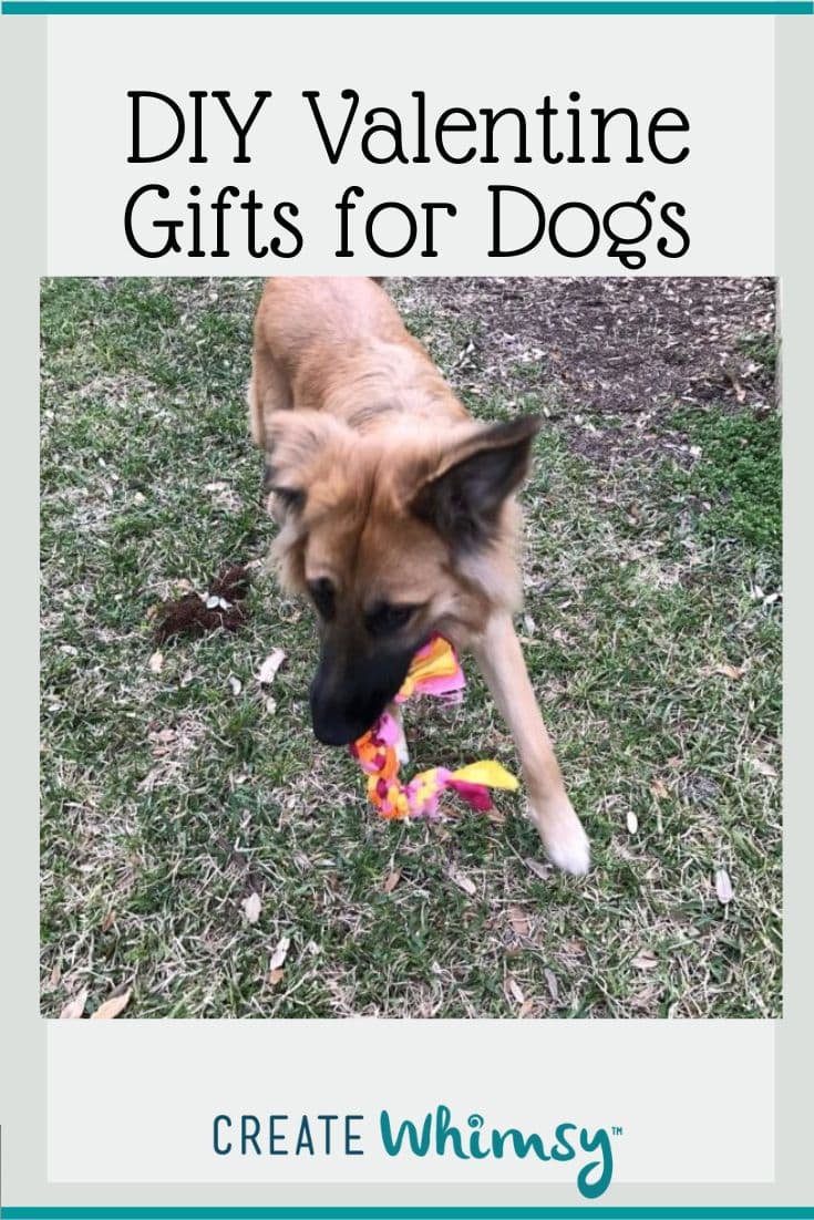 DIY Valentine Gifts for Dogs - Create Whimsy