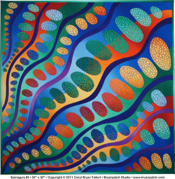 Spotlight: Caryl Bryer Fallert-Gentry, Quilt Artist - Create Whimsy