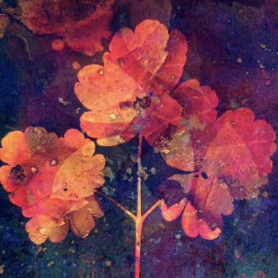 Spotlight: Lesley Riley, Mixed Media Artist - Create Whimsy