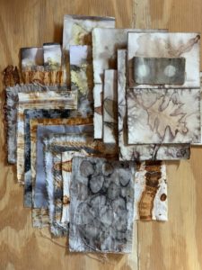 Spotlight: Deb Taylor, Eco Artist - Create Whimsy