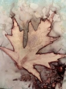 Spotlight: Deb Taylor, Eco Artist - Create Whimsy