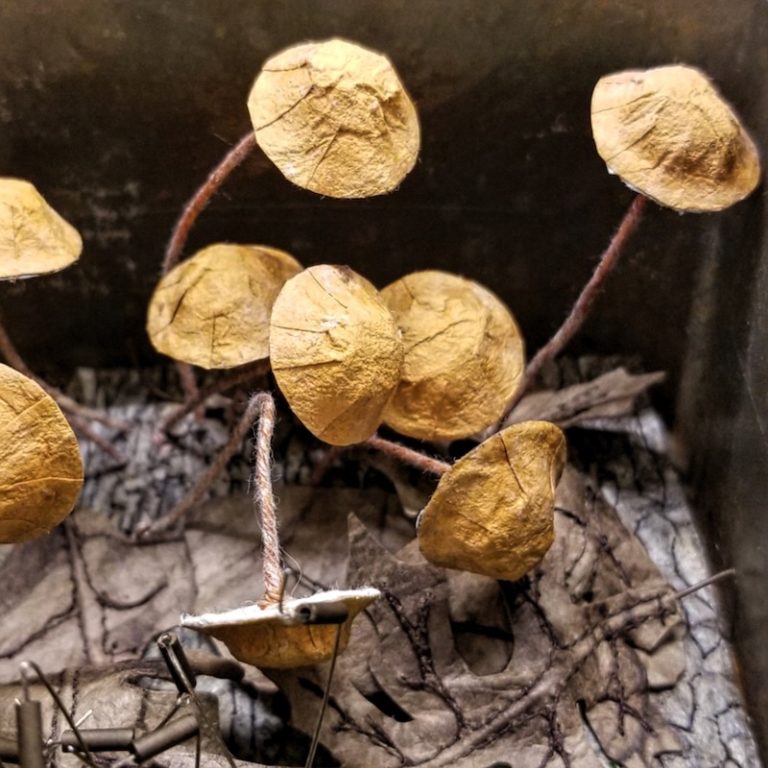 Spotlight, Michele Pollock, Paper and Stitch Artist - Create Whimsy