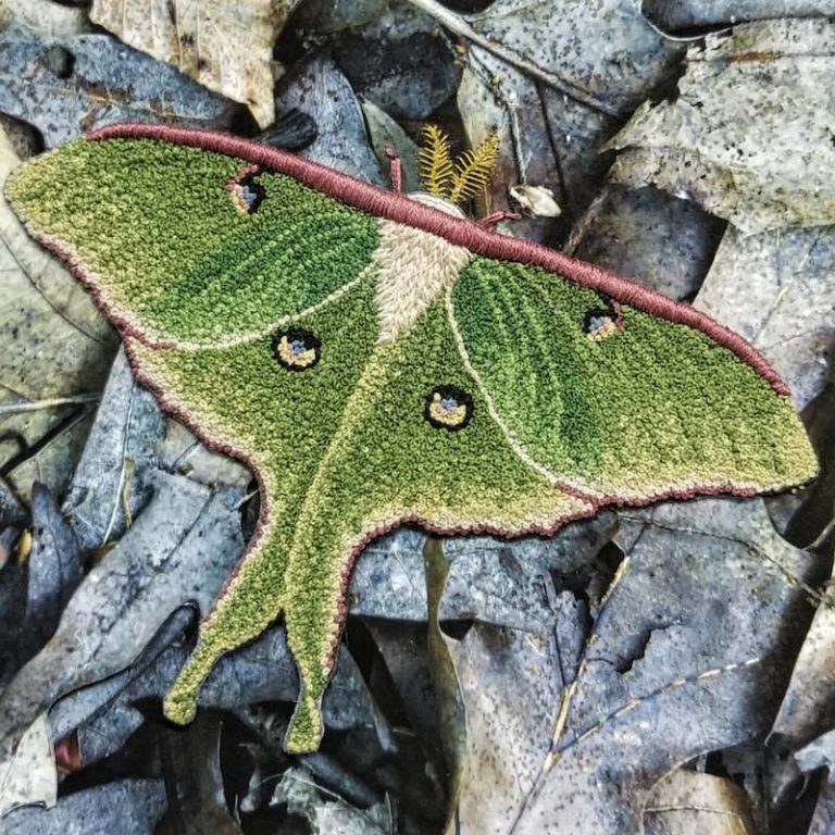 Spotlight Stories | Interviews with Makers | Create Whimsy