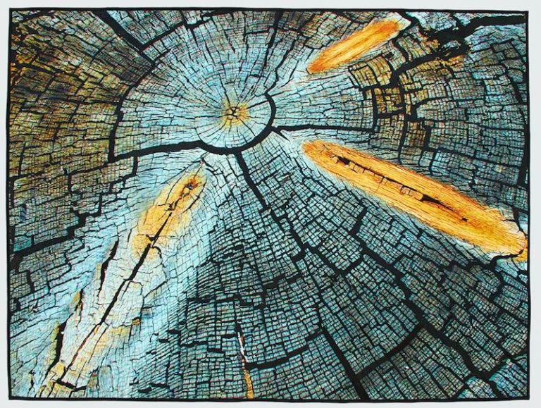 Spotlight: Barbara Schneider, Fiber Artist - Create Whimsy