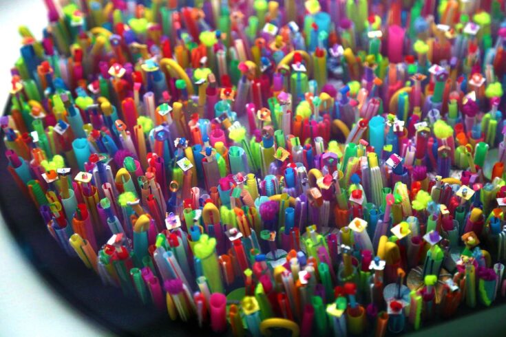 Spotlight: Jessica Grady, Contemporary Artist - Create Whimsy