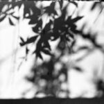 Spotlight: Laura Fox-Wallis, Silk Artist - Create Whimsy