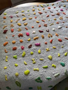 Spotlight: Nicholas Ball, Improv Quilter - Create Whimsy